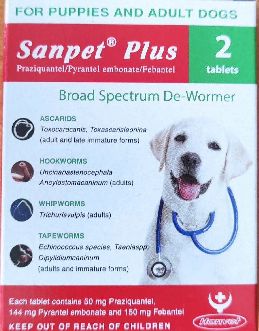 Are Dogs Allowed At The Broad