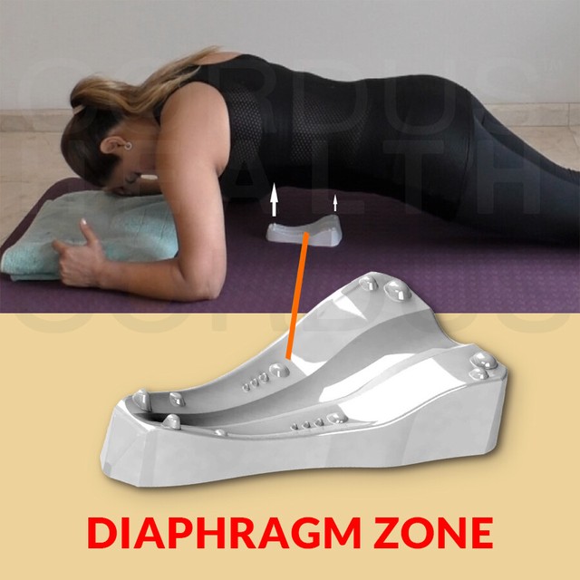 Sacrus for Sciatica Scoliosis Herniated Discs Extended English Manual ...