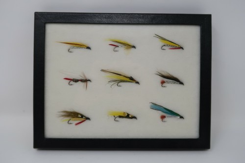 Display case or frame for flies? : r/flytying