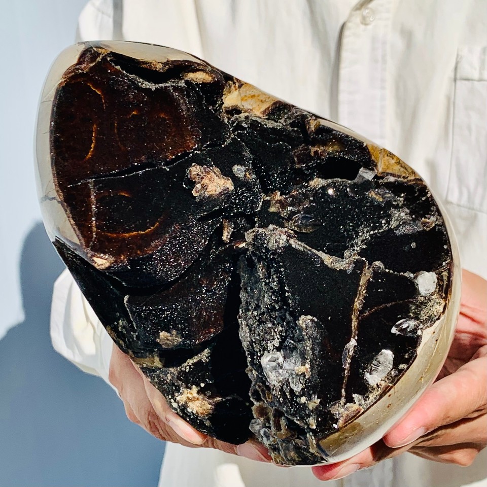 6.25LB Natural Turtle Back Stone Dragon Crystal Cave Crack Gem Healing ...