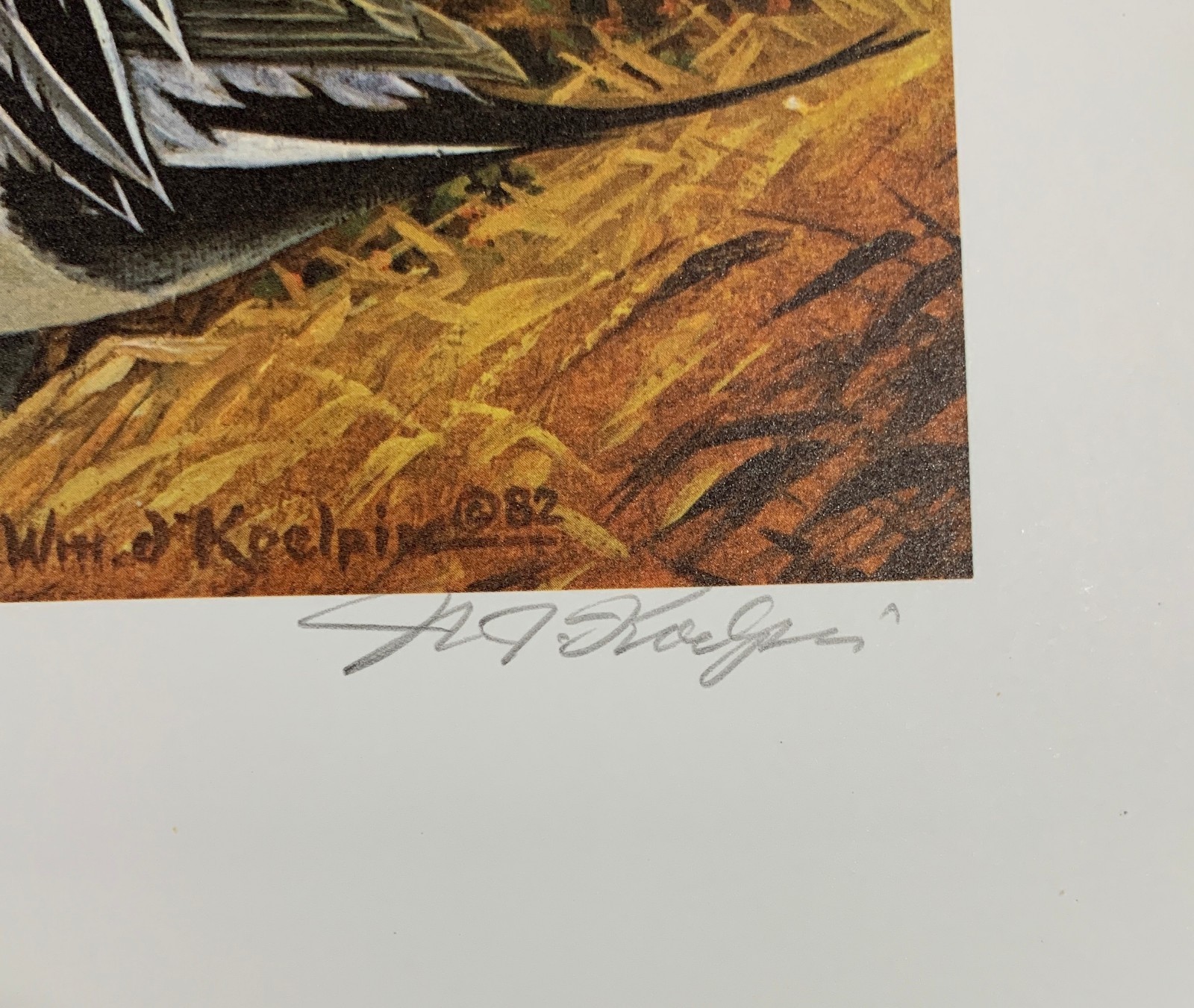WTDstamps - 1982 WISCONSIN - State Duck Stamp Print **WILLIAM KOELPIN ...