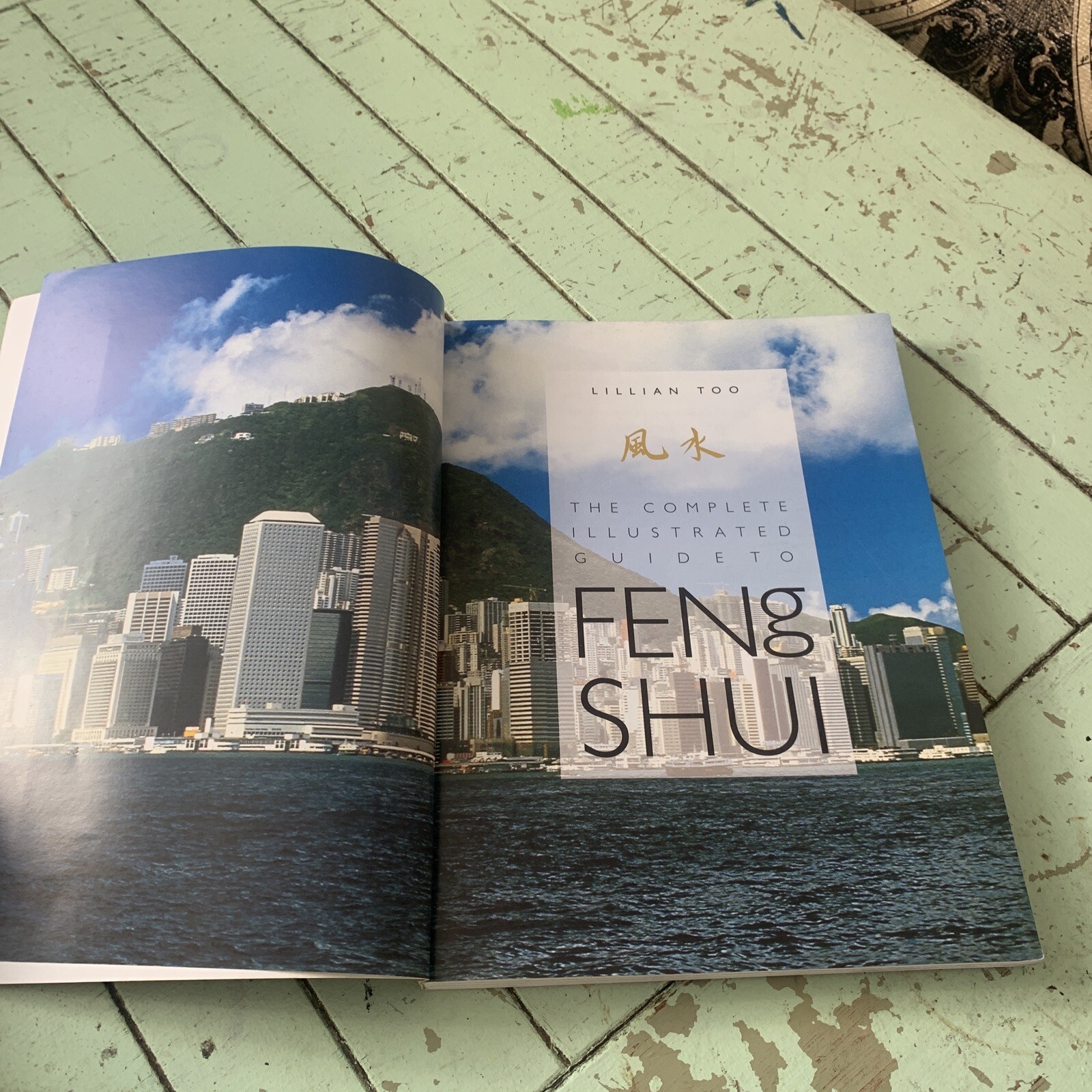 Feng Shui (Complete Illustrated Guide) by Lillian Too (Paperback, 1998 ...