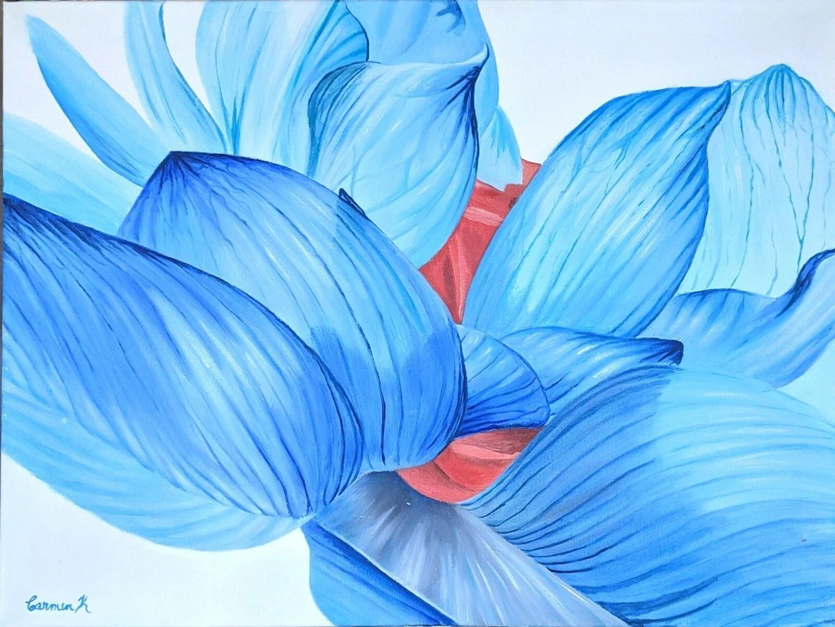 Blue Lotus Flower Drawing
