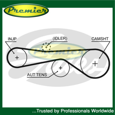 Premier Injection Pump Belt Fits A6 A5 A4 Q7 A8 Touareg 2.7 TDi 3.0 TDi ...