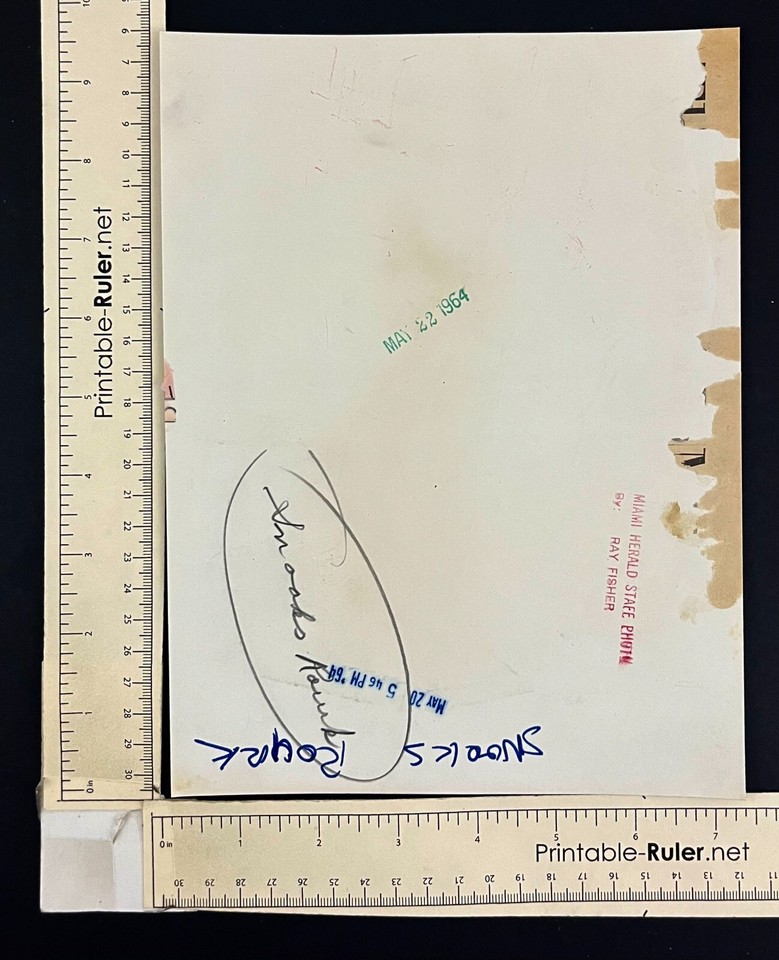 1964 Snooks Rourk Female Blacksmith Shoeing Horse Vintage Press Photo ...