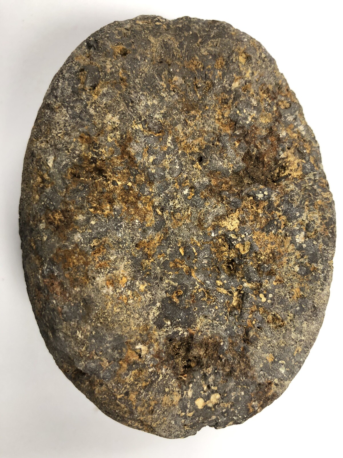 Hawaiian Stone Artifact -Squid Lure Sinker | eBay