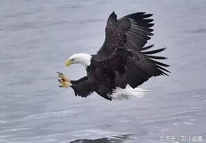 yanwa_7985 | eBay Stores