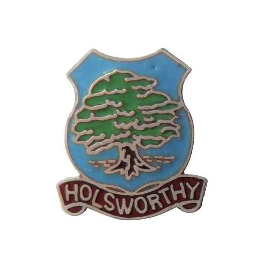 Holsworthy Devon Crest Small Pin Badge - DEVON SELLER | eBay UK