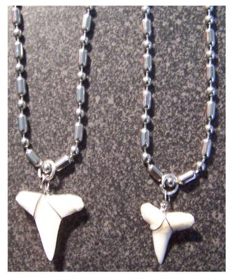 STAINLESS STEEL 24" BALL CHAIN NECKLACE W SHARKS TOOTH PENDANT ...