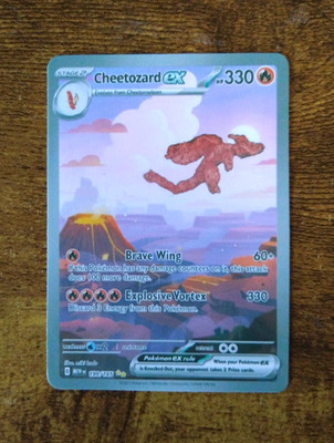 ACG Card - Charizard Cheetozard ex - Non-Holo Pokemon Custom Fan Art ...