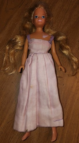 Barbie TNT Skipper Titian With Carry Case 4 Other Skippers Fun Time ...