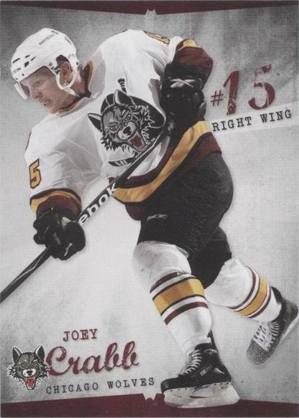 2009-10 Vienna Beef Chicago Wolves - #15 Joey Crabb for sale online | eBay