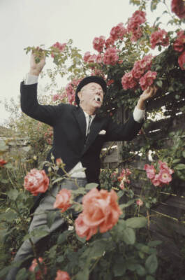 Richard Hearne aka television's Mr Pastry 1970 OLD PHOTO 2 | eBay Australia