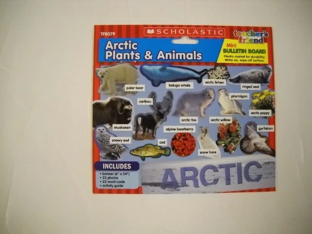 Arctic Plants And Animals