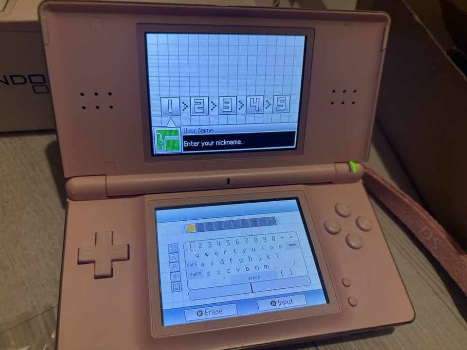 Nintendo DS Lite Pink Game Console, Charger, Pink Case, Original Box ...