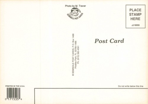 Postcard The Legend of the Sand Dollar Holy Ghost Shell Religion Christ ...