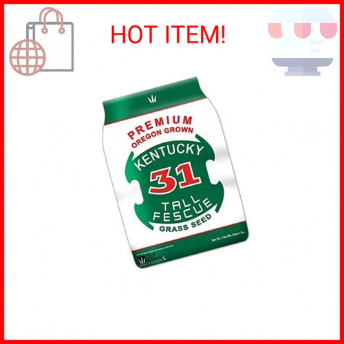 Premium Oregon Grown Kentucky 31 Tall Fescue Grass Seed (5 LBS) | eBay