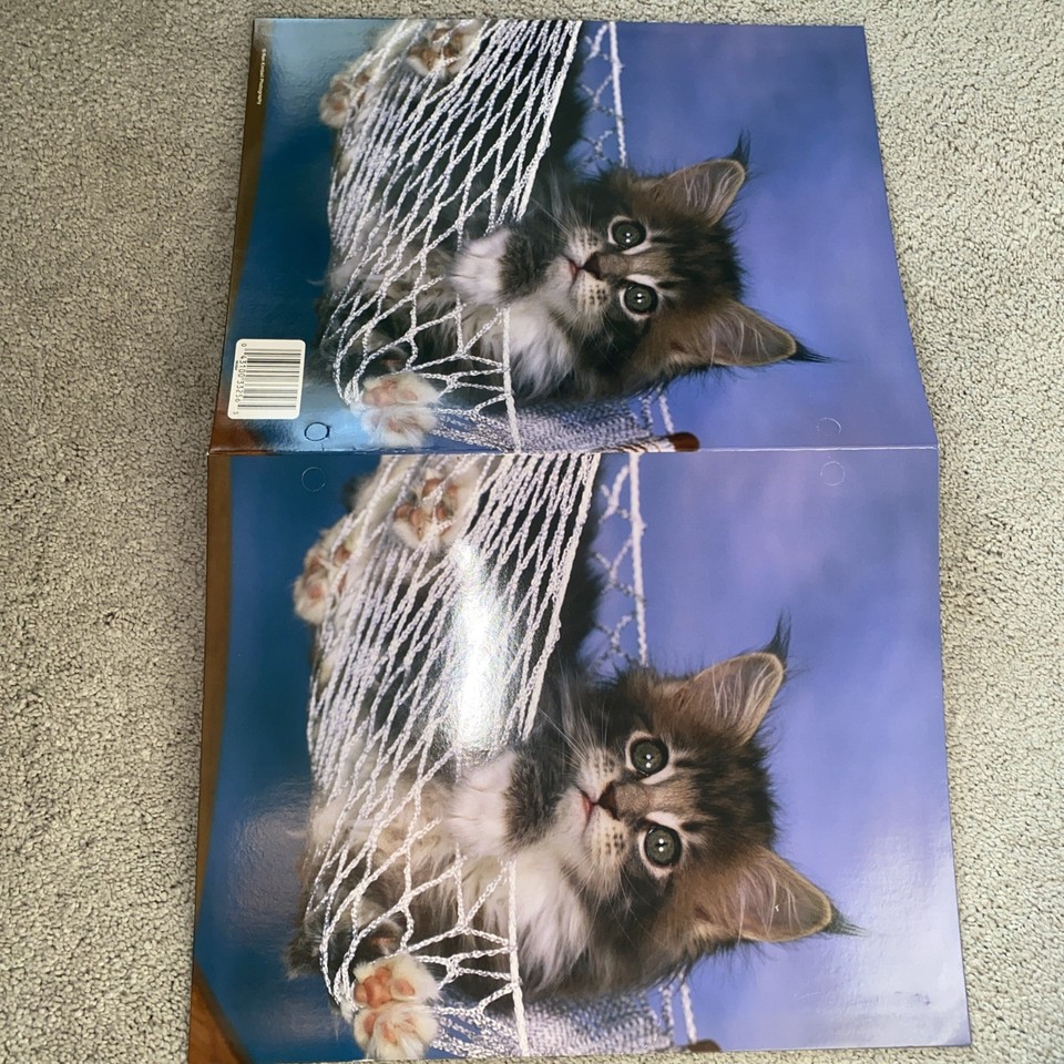 Ron Kimball Photography Mead Portfolio Folder 2003 Vintage Purrs ...