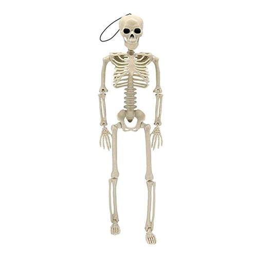 Realistic Skeleton Action Figure Human Skeleton Halloween Party Hanging ...
