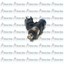 Motor Man | 0280158669 HL3E-9F593-DA Bosch Fuel Injector | Ford V6 | eBay