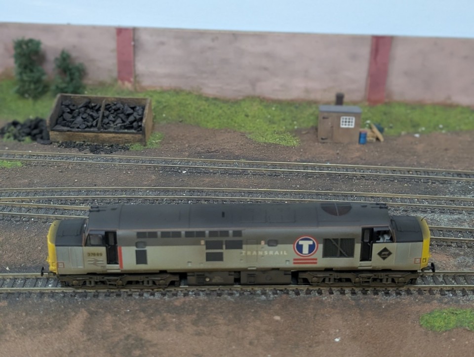 Bachmann Branchline OO Gauge Class 37/5 – Transrail Livery – DCC Fitted ...