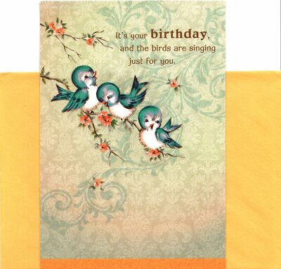 Funny Happy Birthday Classic Bluebird Bluebirds Poop Hallmark Greeting ...