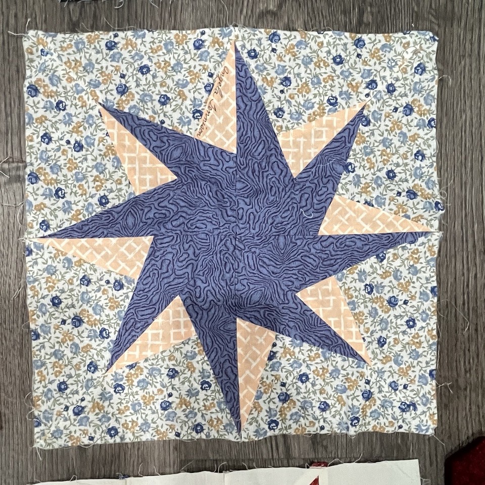 Vintage Quilt Blocks Star Pattern Friendship 21 Pcs Patchwork Cotton 12 ...