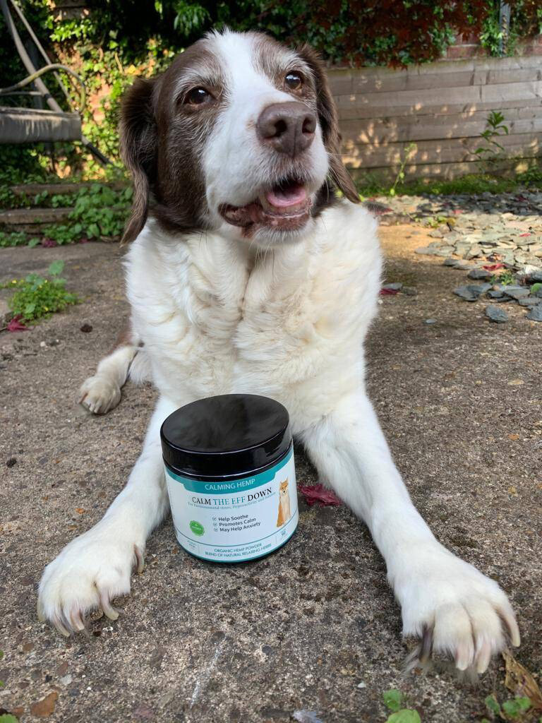 Calming dog treats for barking stress anxiety fear fireworks training ...