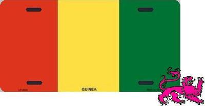 Aluminum National Flag Guinea "License Plate" NEW | eBay