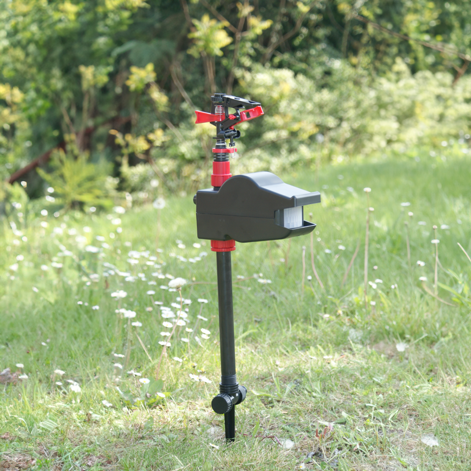 PestBye Cat Repeller Jet Spray Bird Fox Squirrel Water Deterrent ...