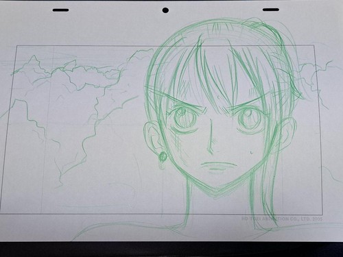 ONEPICE One Piece Handwritten Layout Video Cel Original Drawing No ...