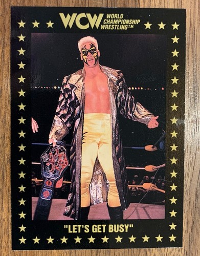 1991 Championship Marketing WCW Wrestling Sting Let's Get Busy Card #86 ...