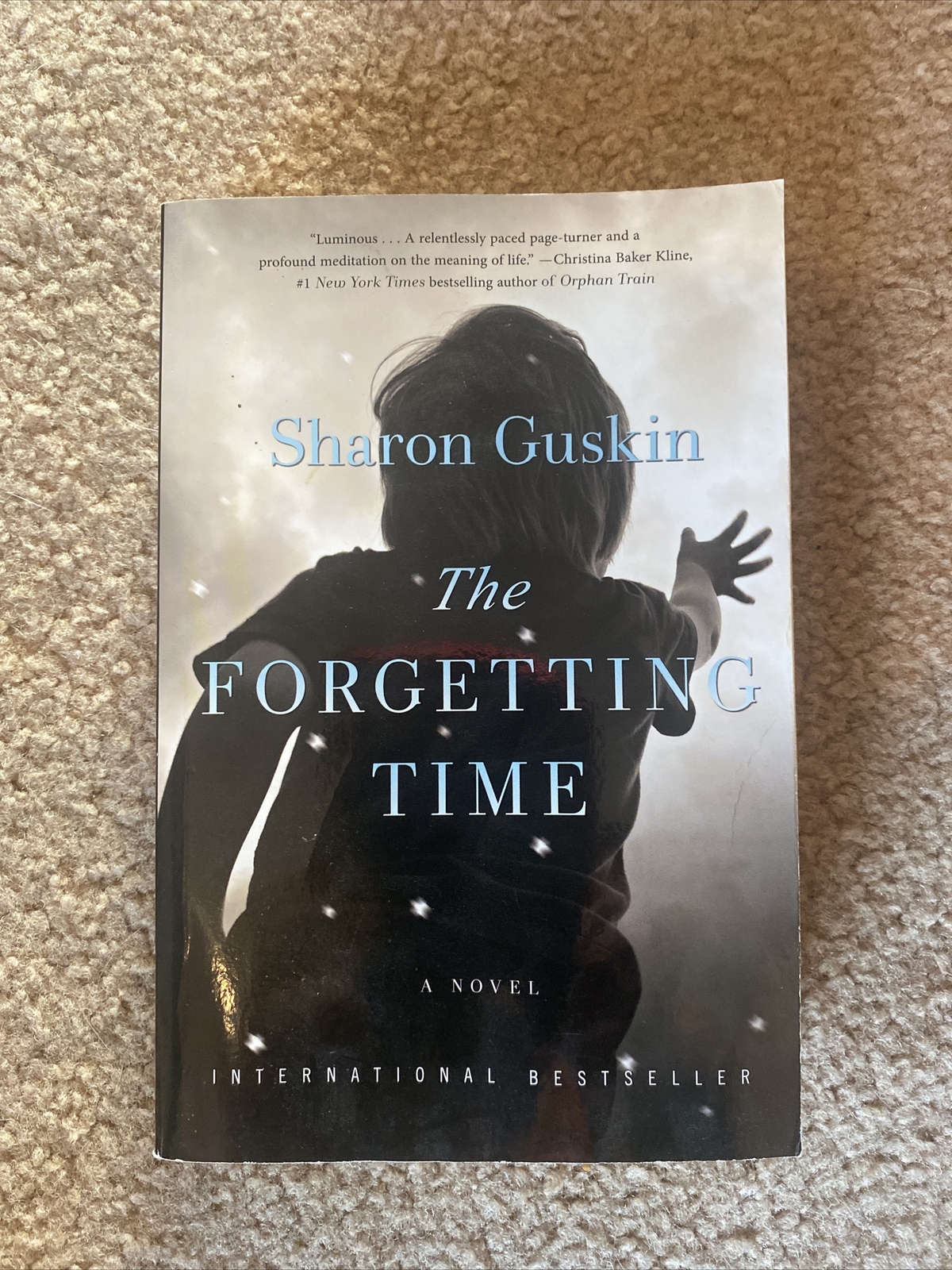 The Forgetting Time : A Novel by Sharon Guskin (2017, Trade Paperback ...