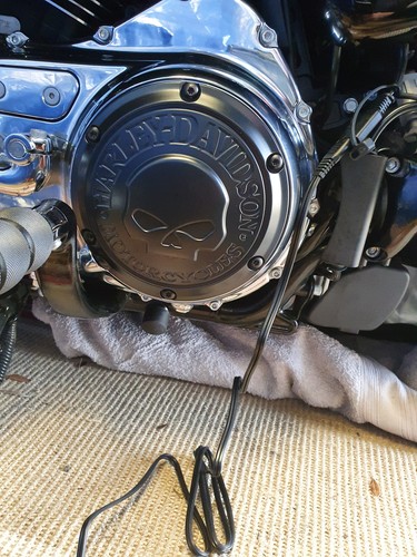 Harley-Davidson Willie G Skull Derby Cover Fits XL & XR Models Black ...