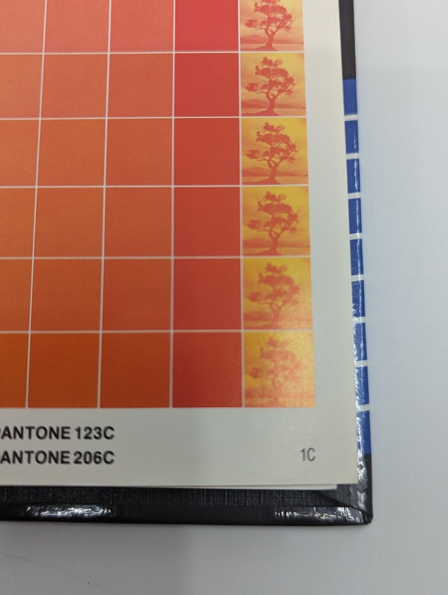 Pantone 123c Lab