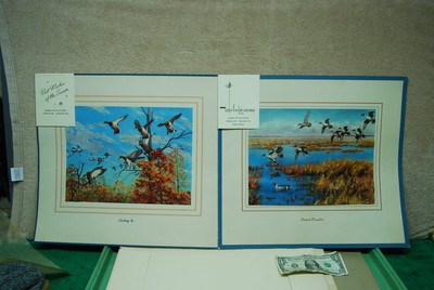 1951 Richard E. Bishop Ducks Waterfowl Color Litho Prints ...