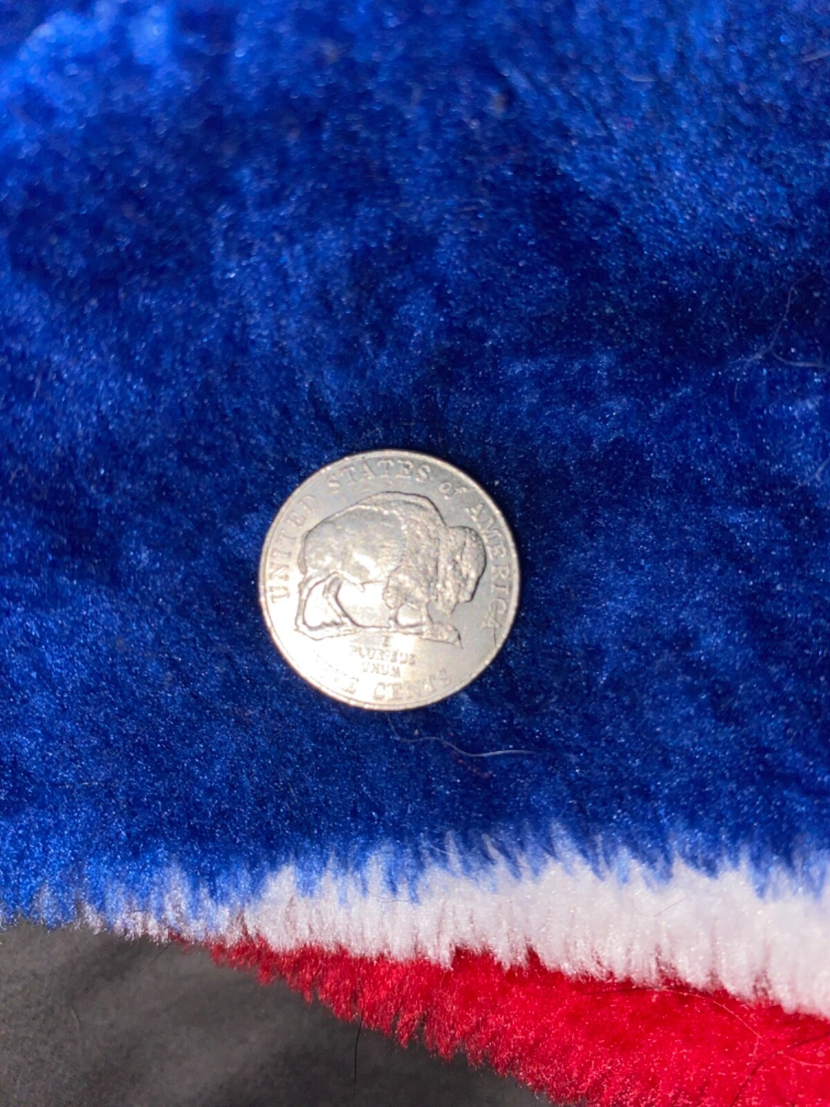 2005-P 5C Bison Jefferson Nickel speared buffalo | eBay