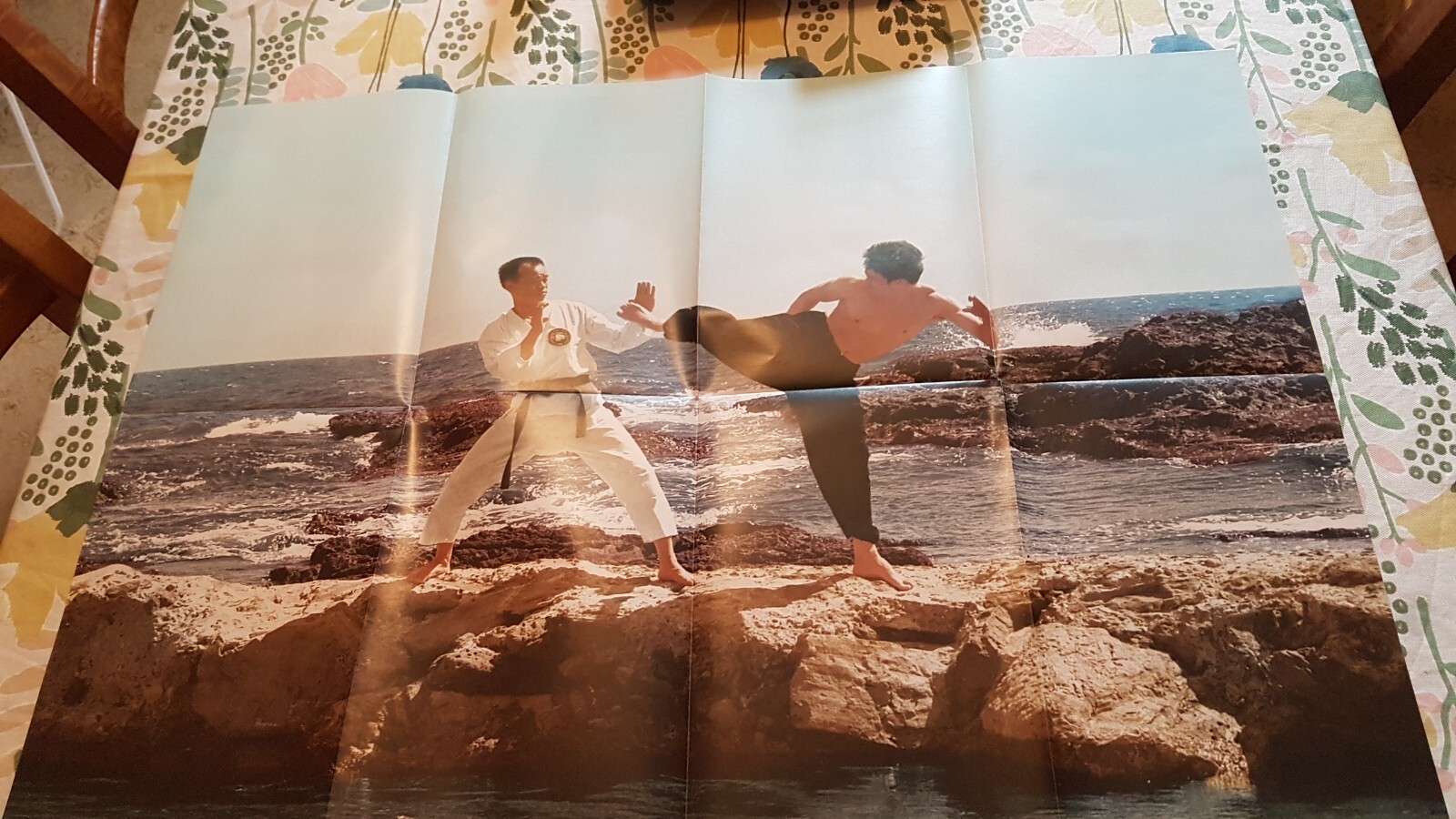 BRUCE LEE FOREVER POSTER MAGAZINE THE JHOON REE | eBay.de