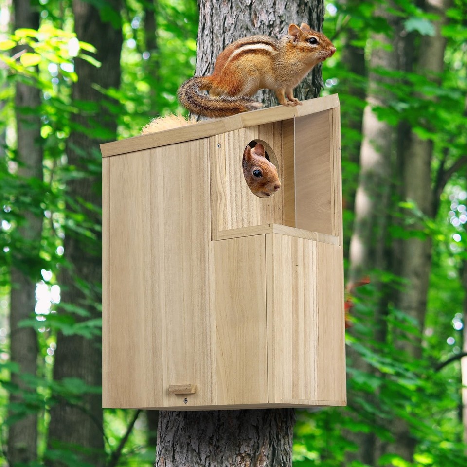 Sundia Large Squirrel Family House Pine Coated Nesting Wooden Box for ...
