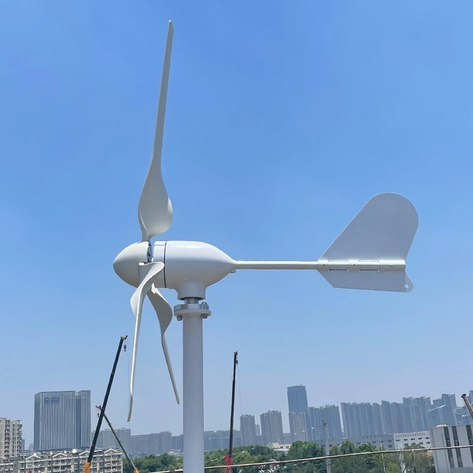 1000W 12V 24V Wind Turbine Horizontal Wind Power Generator With MPPT ...
