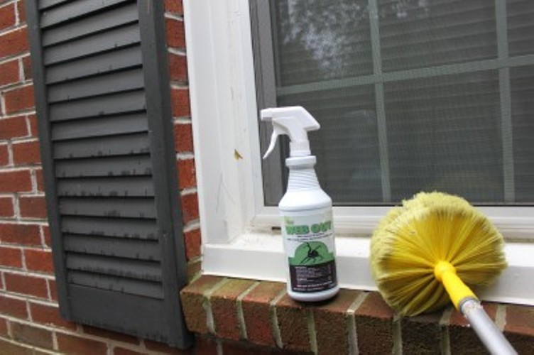 Web Out Spider Spray Spider Eliminator Destroyer 1 QT Web Out Cobweb ...