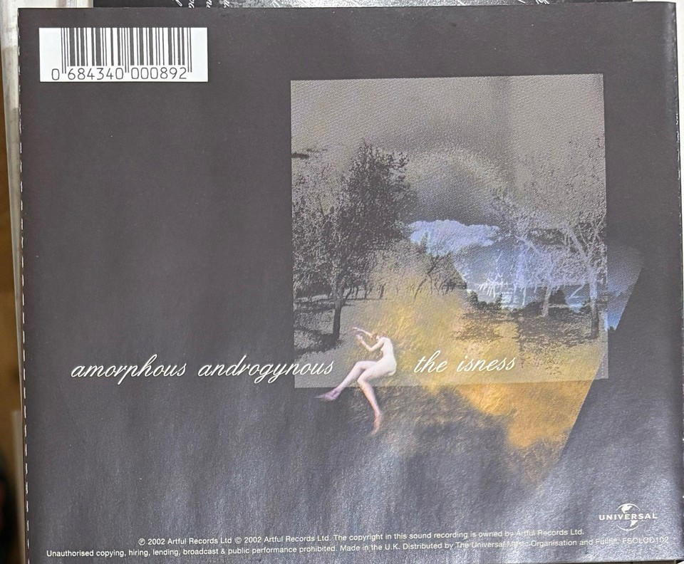 AMORPHOUS ANDROGYNOUS - The Isness CD 2002 FSOL Exc Cond! | eBay