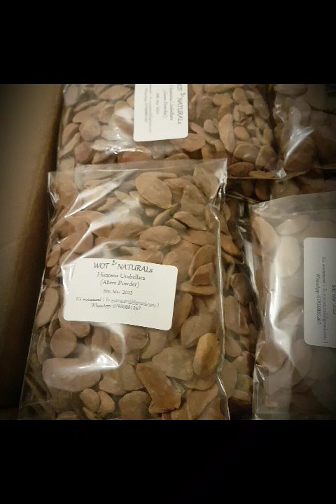 Pure Organic ABERE SEEDS (Hunteria Umbellata) AKUAMMA ABEERE 80g Seeds ...