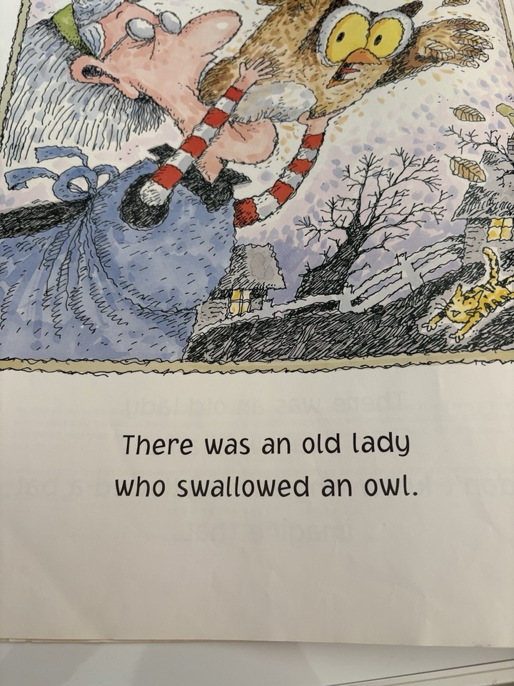 There Was an Old Lady Who Swallowed a Bat! By Lucille Colandro Big Book ...