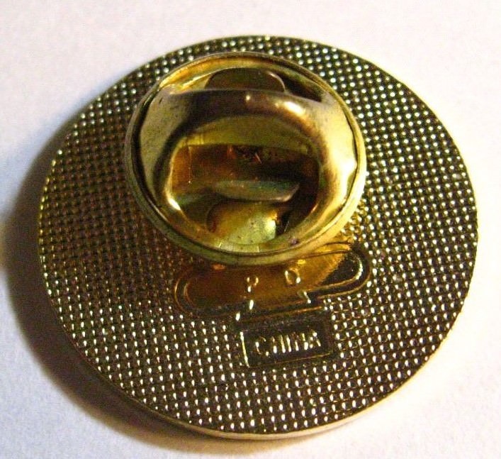 Escambia County FL Lapel Pin - Vintage 2000 Florida Election Poll ...