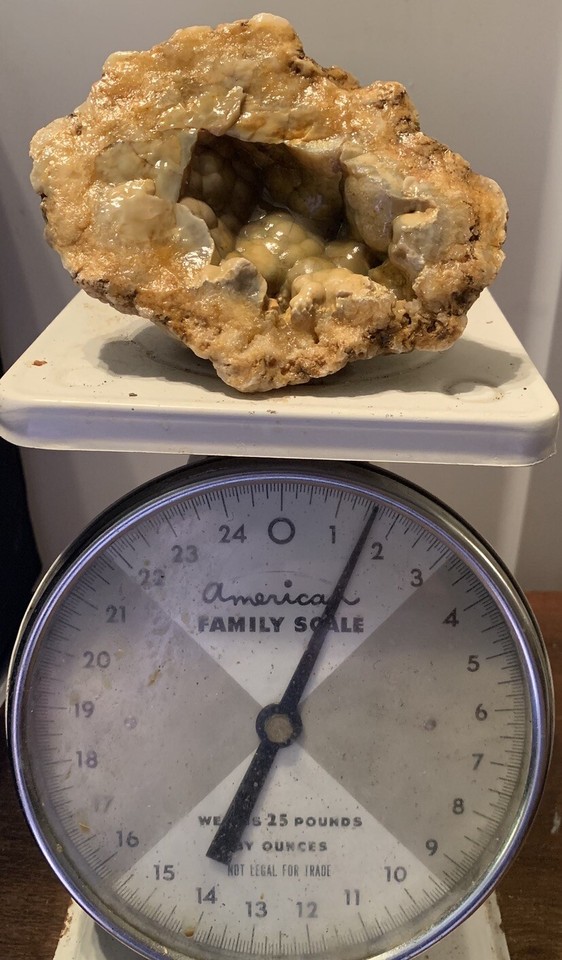 Fossilized Indiana Geode Quartz Crystal Open Face 1.5 Lb Agate crinoid ...