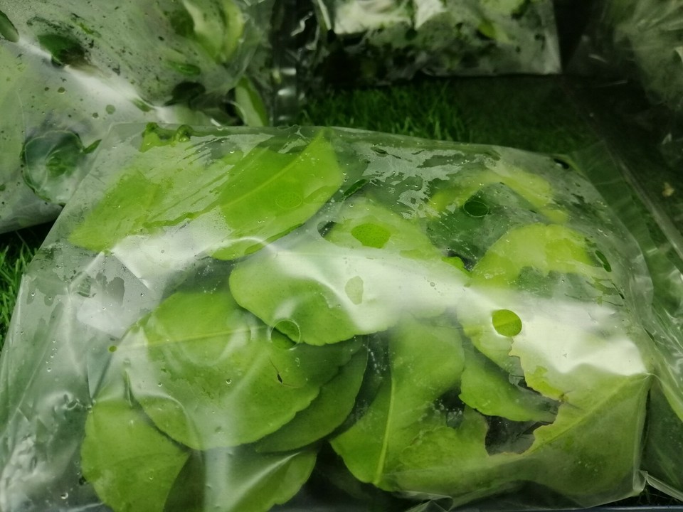 100g KAFFIR LIME LEAVE SUN DRIED LEAVES THAI COOKING TOM YUM HEALTHY ...