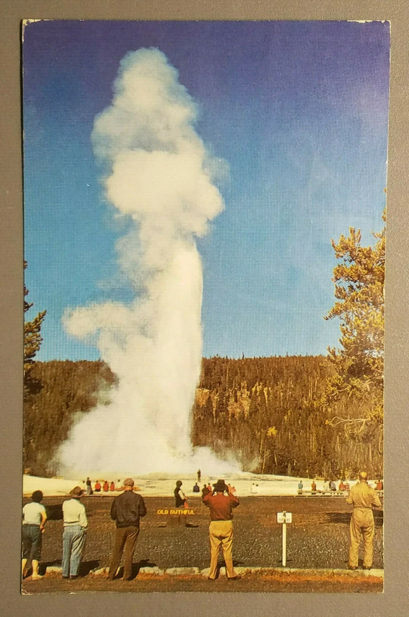 Old Faithful Postcard