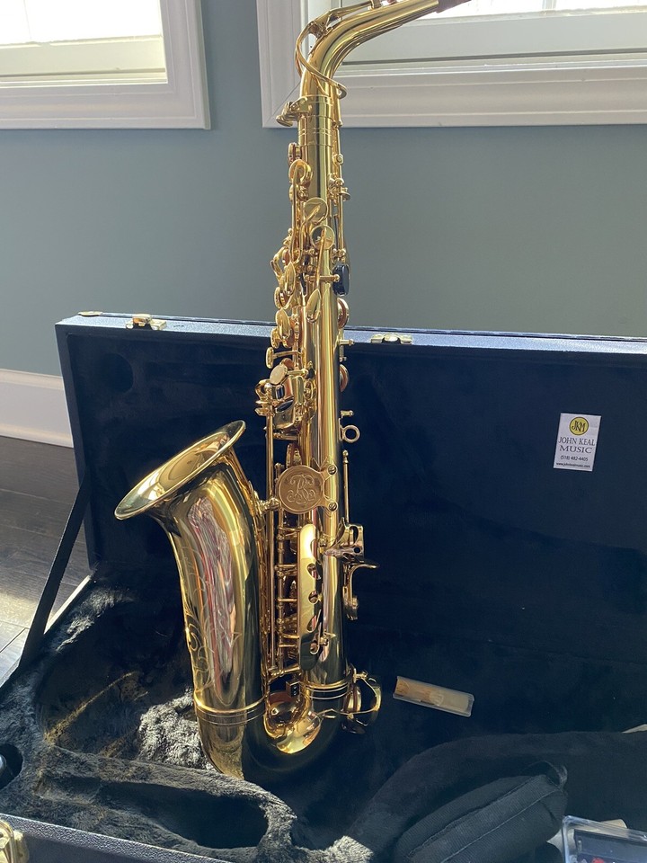 buffet alto saxophone, good condition. Comes with hard case. used only ...