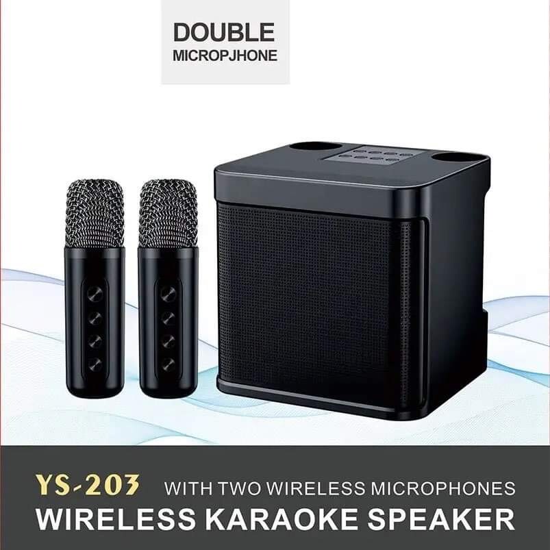Bluetooth Karaoke Speaker with 2 Wireless Microphones | eBay